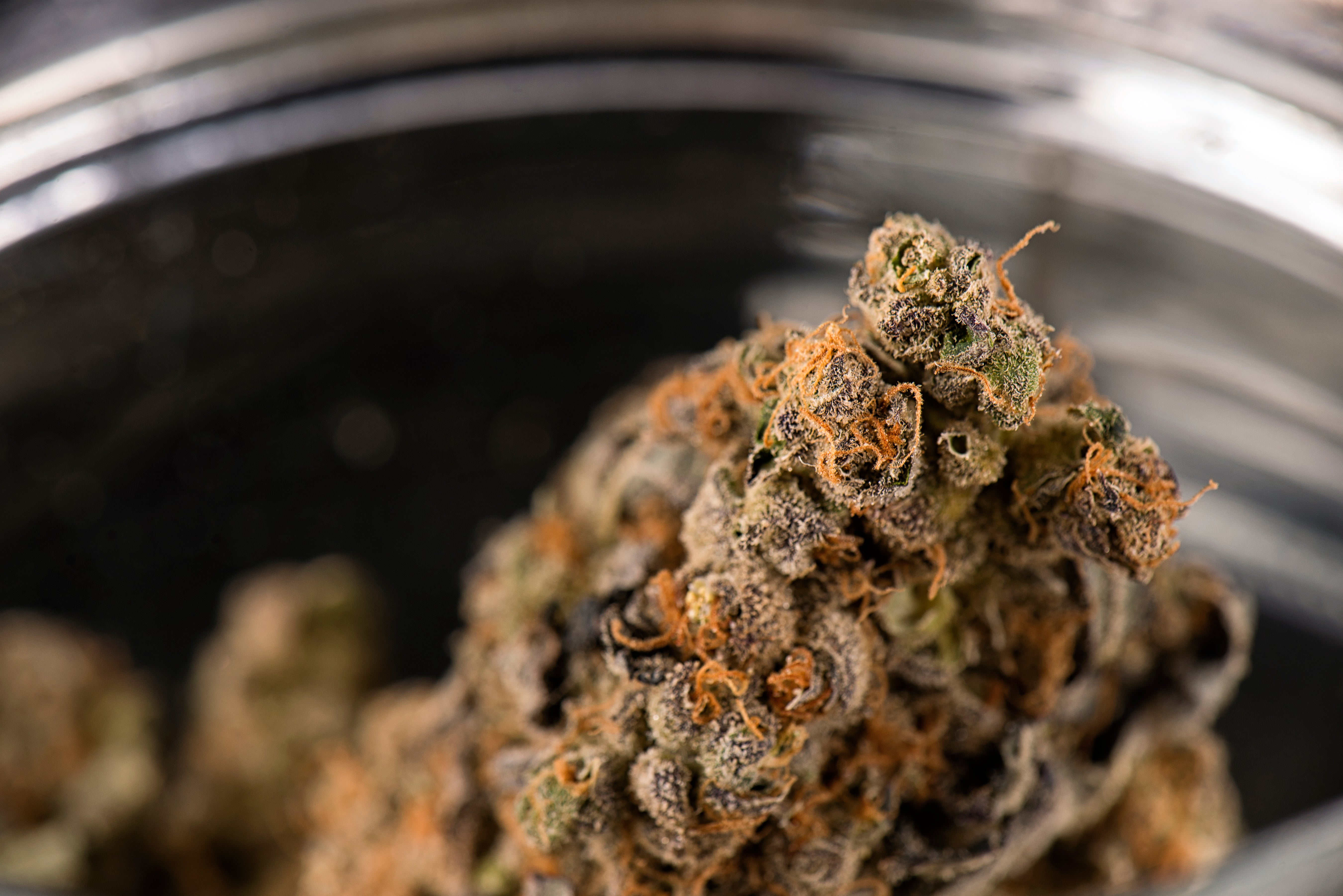 Our Forte? Cannabis! — Loud Smoke Supply