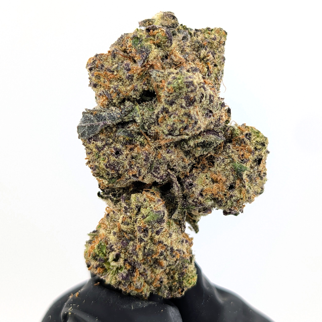 Blue Cheese Flower – LOUD Online