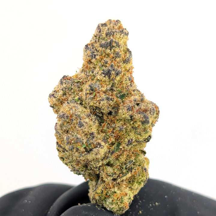 Cannabis, Straight to Your Door – LOUD Online