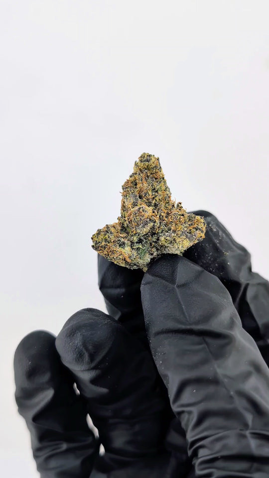 Cannabis, Straight to Your Door – LOUD Online