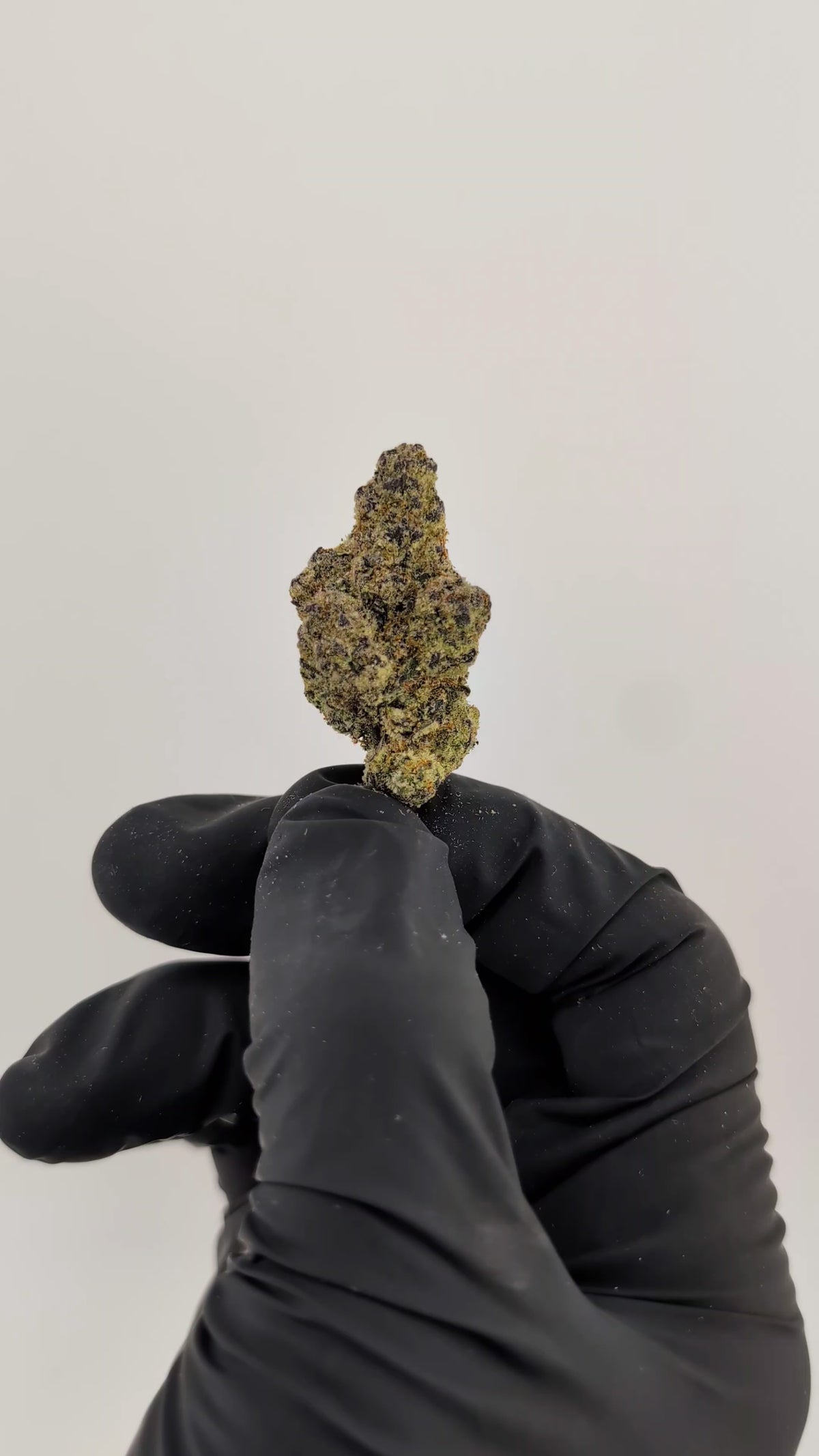Cannabis, Straight to Your Door – LOUD Online
